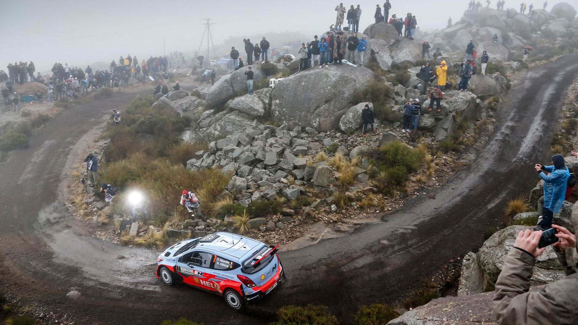 Hyundai Shell World Rally Team Battles to Top Five Finish After Tough ...