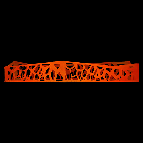 ARTWORK | Primal Creation_Voroni