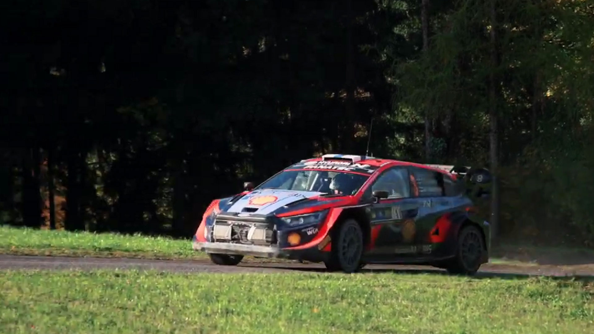 Race Through the Rough Tracks of Mexico! 2023 WRC Rally Mexico Preview ...